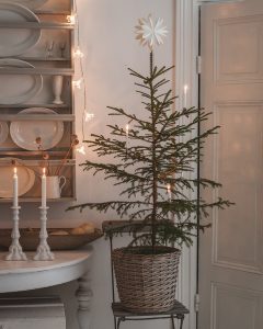 Beautiful Christmas trees to admire on Instagram – Focal Point
